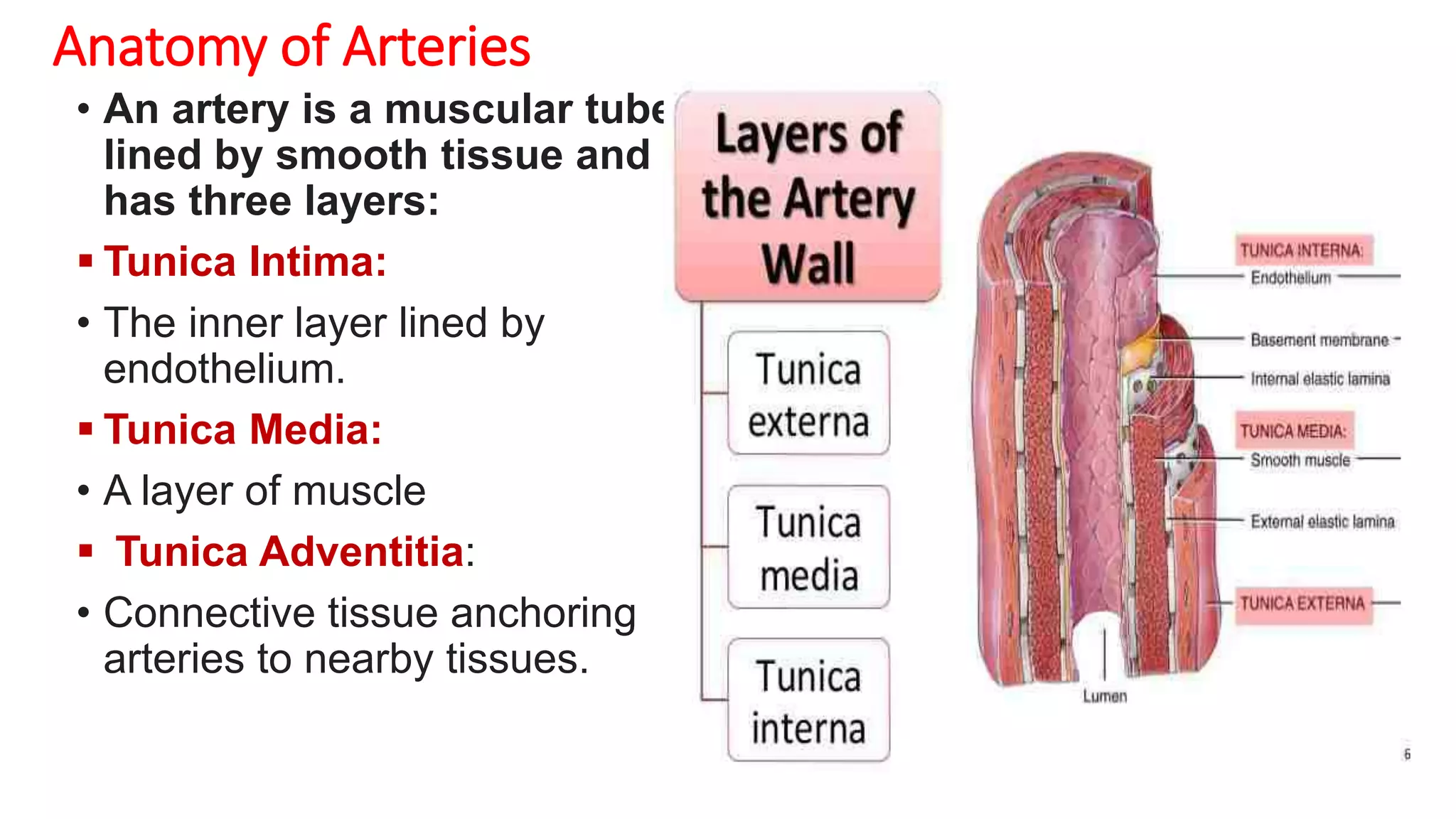 Peripheral Arterial Disease.pptx