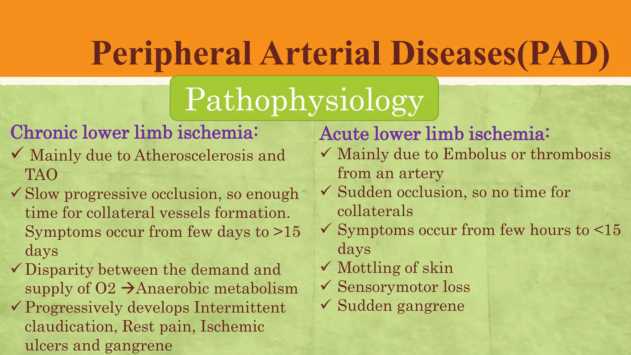 Peripheral arterial diseases | PDF