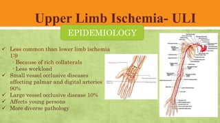 Peripheral arterial diseases | PDF
