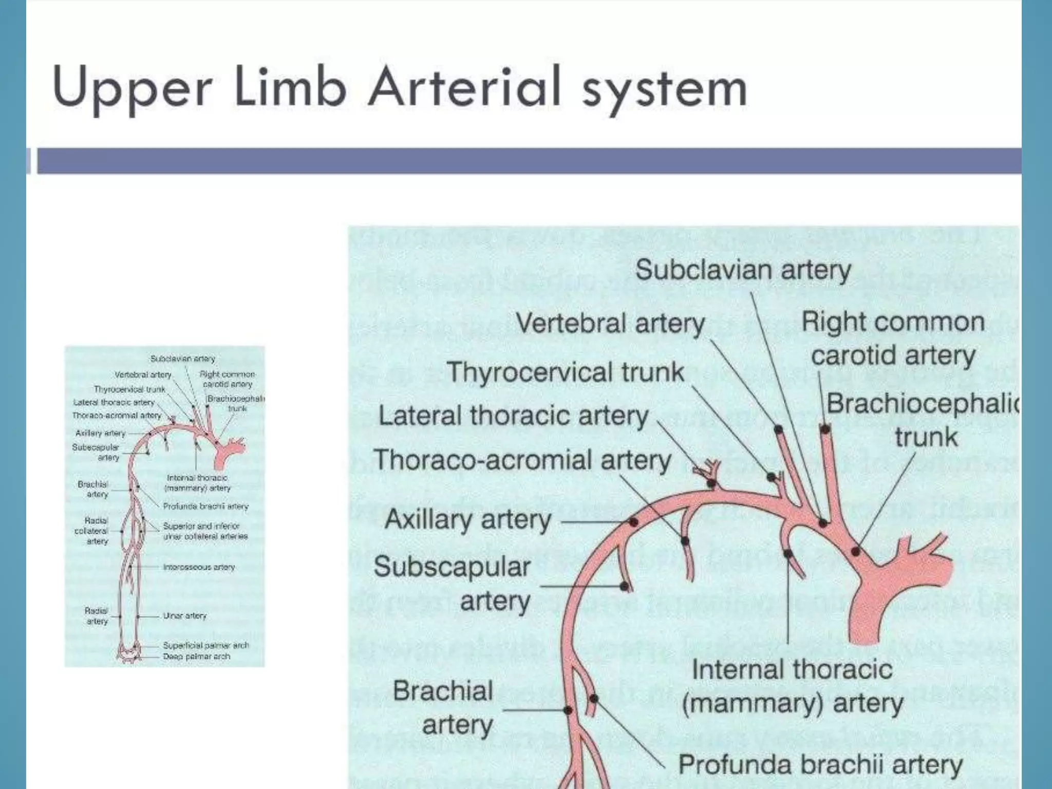Peripheral arterial doppler | PPTX