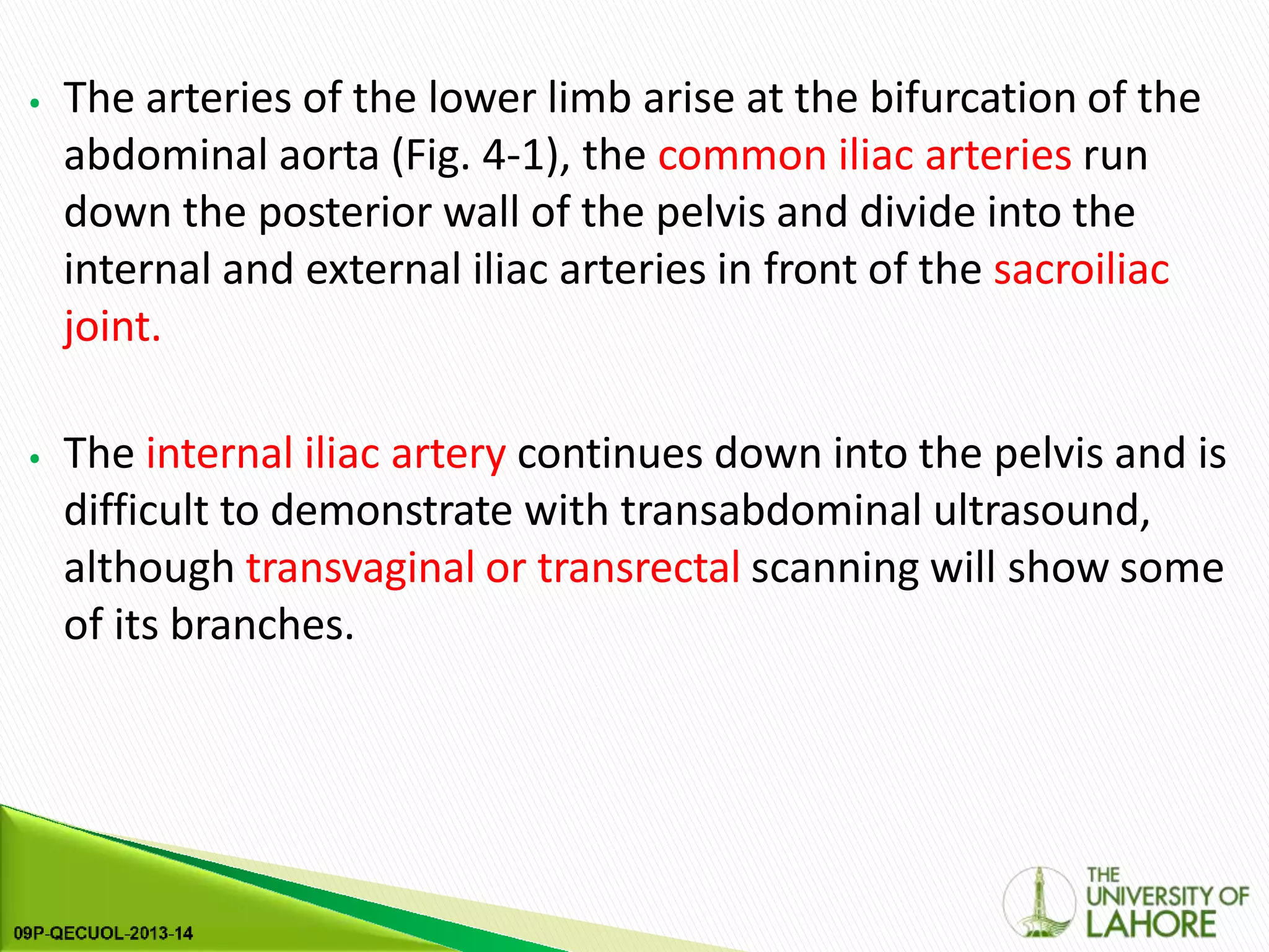 Peripheral Arteries Usg-1.pptx