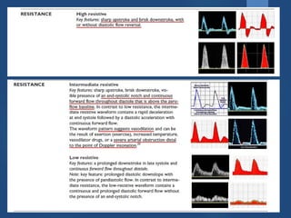 Peripheral Arterial Doppler: Assessment of Upper and Lower limb ...
