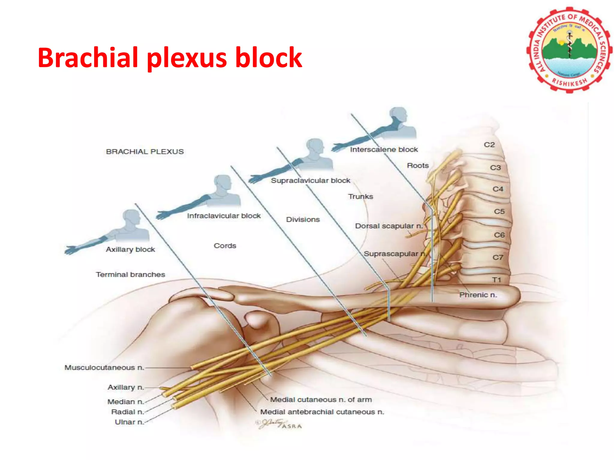 Peripheral blocks | PPTX