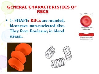 Peripheral blood | PPT