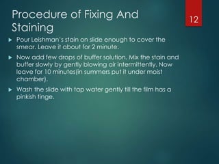 Peripheral Blood Smear | PPTX