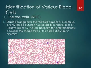 Peripheral Blood Smear | PPTX