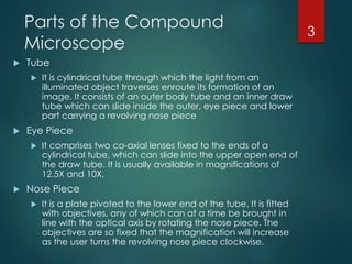 Peripheral Blood Smear | PPTX