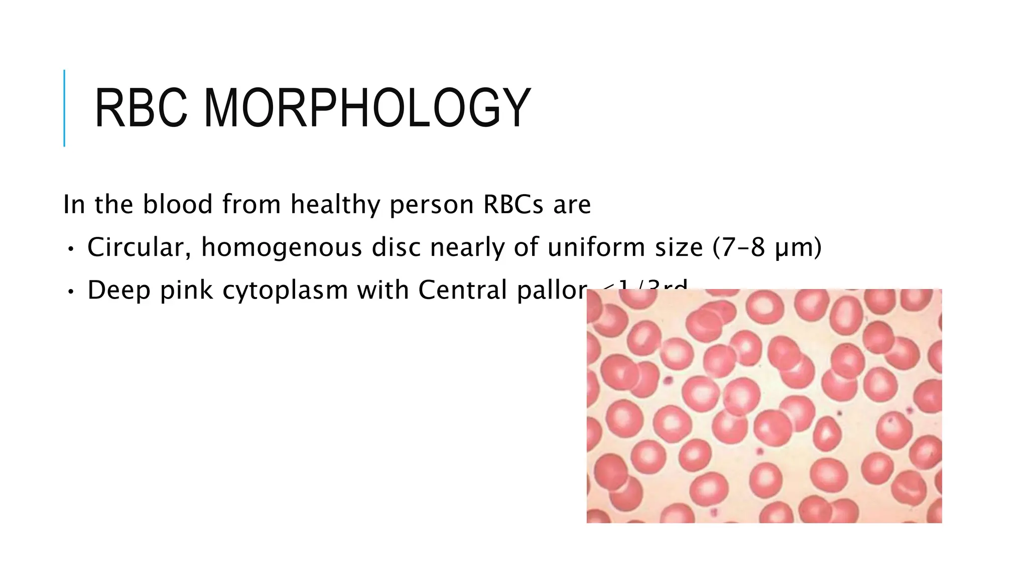 PERIPHERAL BLOOD SMEAR examinationn.pptx