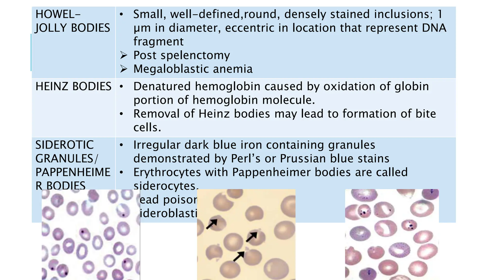 PERIPHERAL BLOOD SMEAR examinationn.pptx