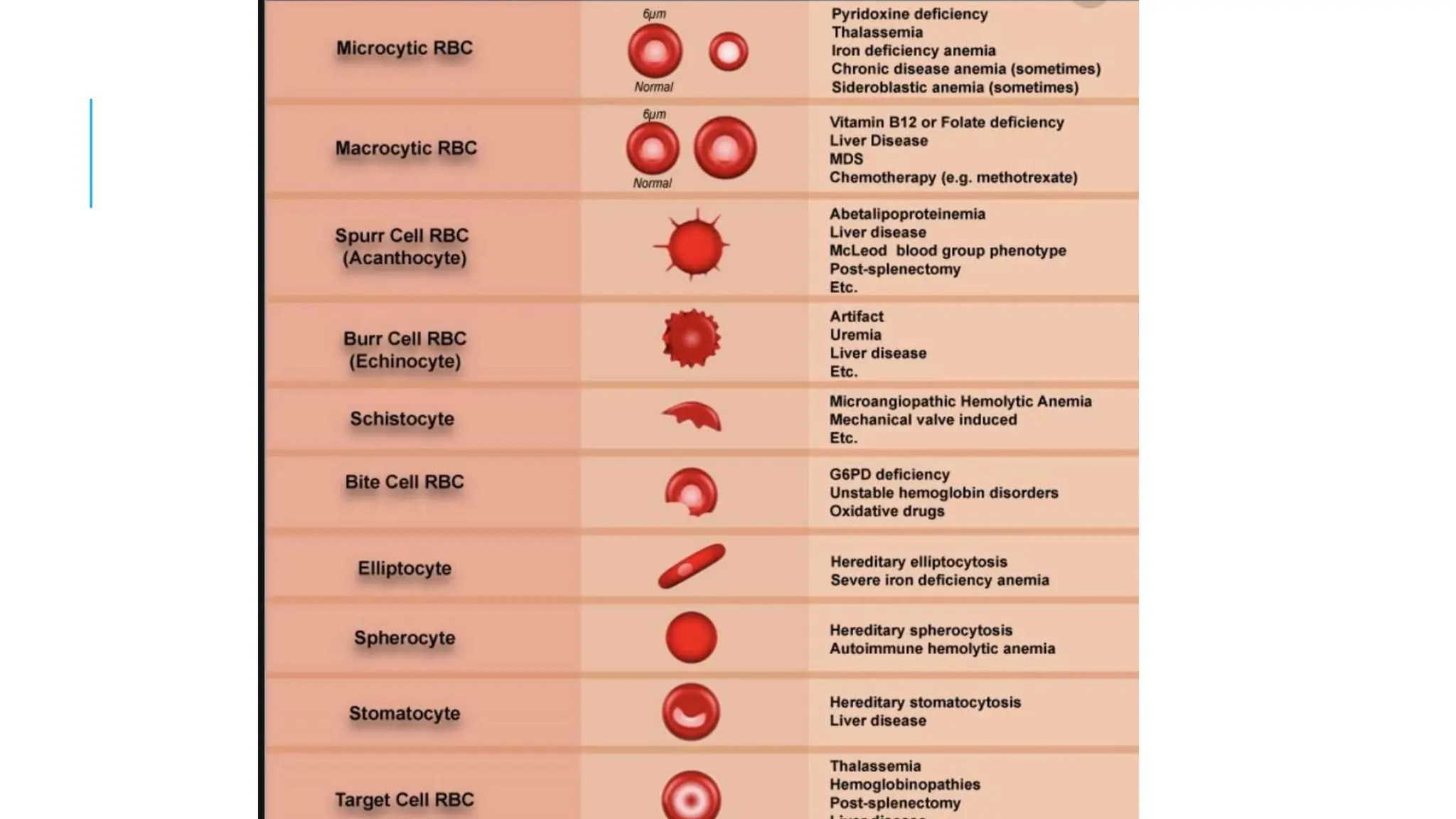 PERIPHERAL BLOOD SMEAR examinationn.pptx