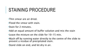 PERIPHERAL BLOOD SMEAR examinationn.pptx
