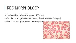PERIPHERAL BLOOD SMEAR examinationn.pptx