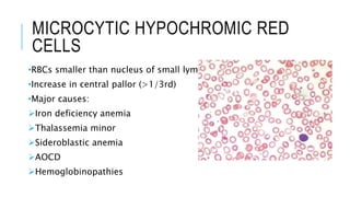 PERIPHERAL BLOOD SMEAR examinationn.pptx