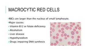 PERIPHERAL BLOOD SMEAR examinationn.pptx