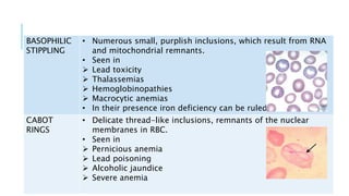 PERIPHERAL BLOOD SMEAR examinationn.pptx