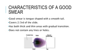 PERIPHERAL BLOOD SMEAR examinationn.pptx