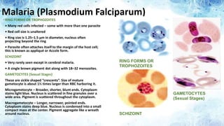 PERIPHERAL BLOOD SMEAR (STAINING, CELLS AND CONDITIONS) | PPTX