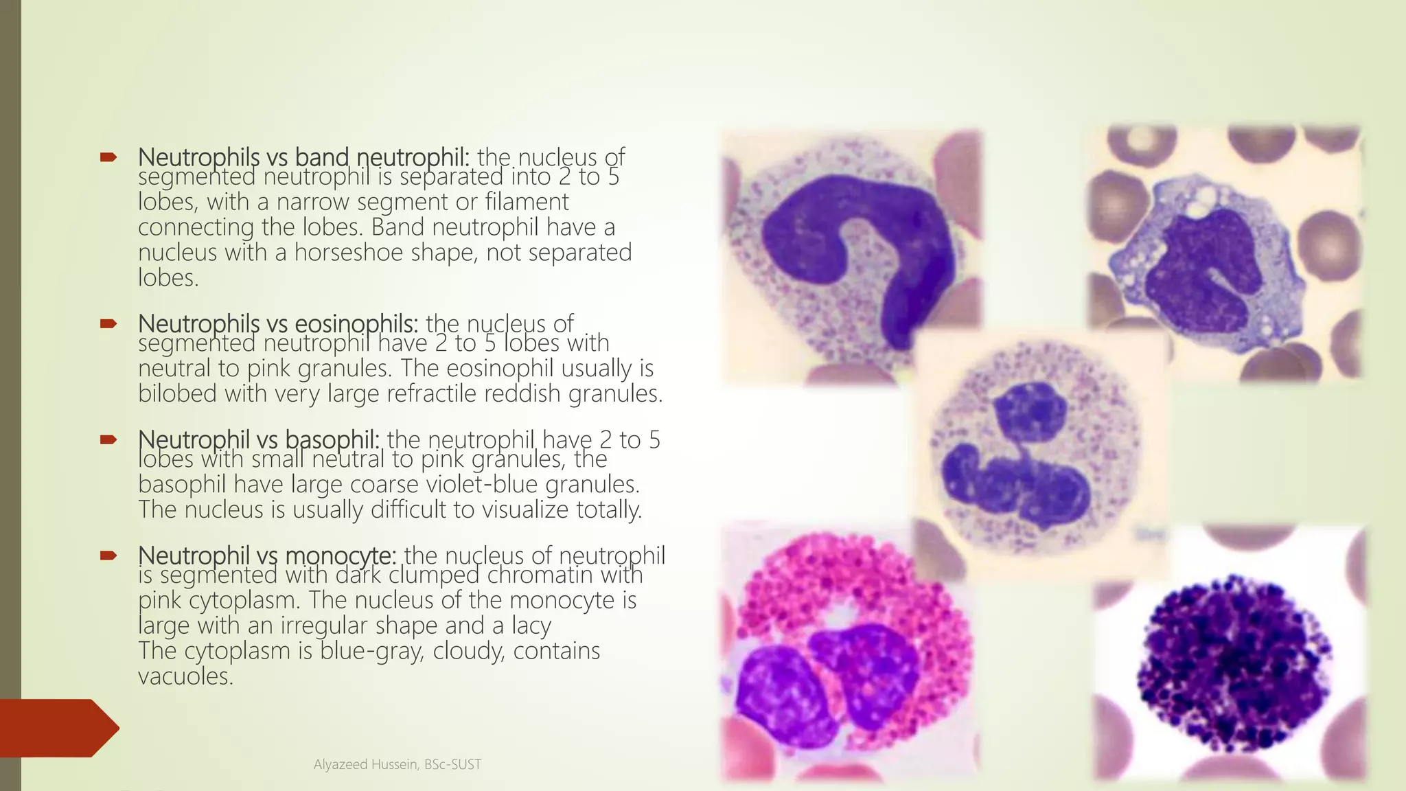 Peripheral blood smear 2020 | PPTX