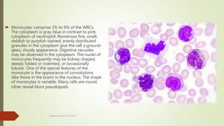 Peripheral blood smear 2020 | PPTX