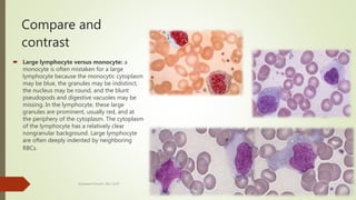 Peripheral blood smear 2020 | PPTX