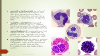 Peripheral blood smear 2020 | PPTX