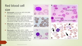 Peripheral blood smear 2020 | PPTX
