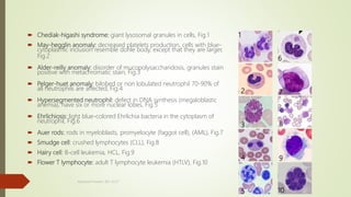 Peripheral blood smear 2020 | PPTX