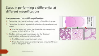 Peripheral blood smear 2020 | PPTX