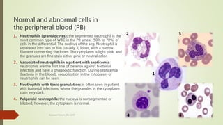 Peripheral blood smear 2020 | PPTX