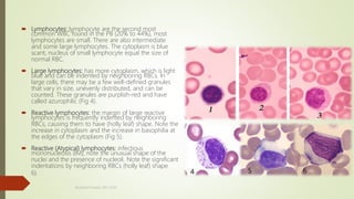 Peripheral blood smear 2020 | PPTX