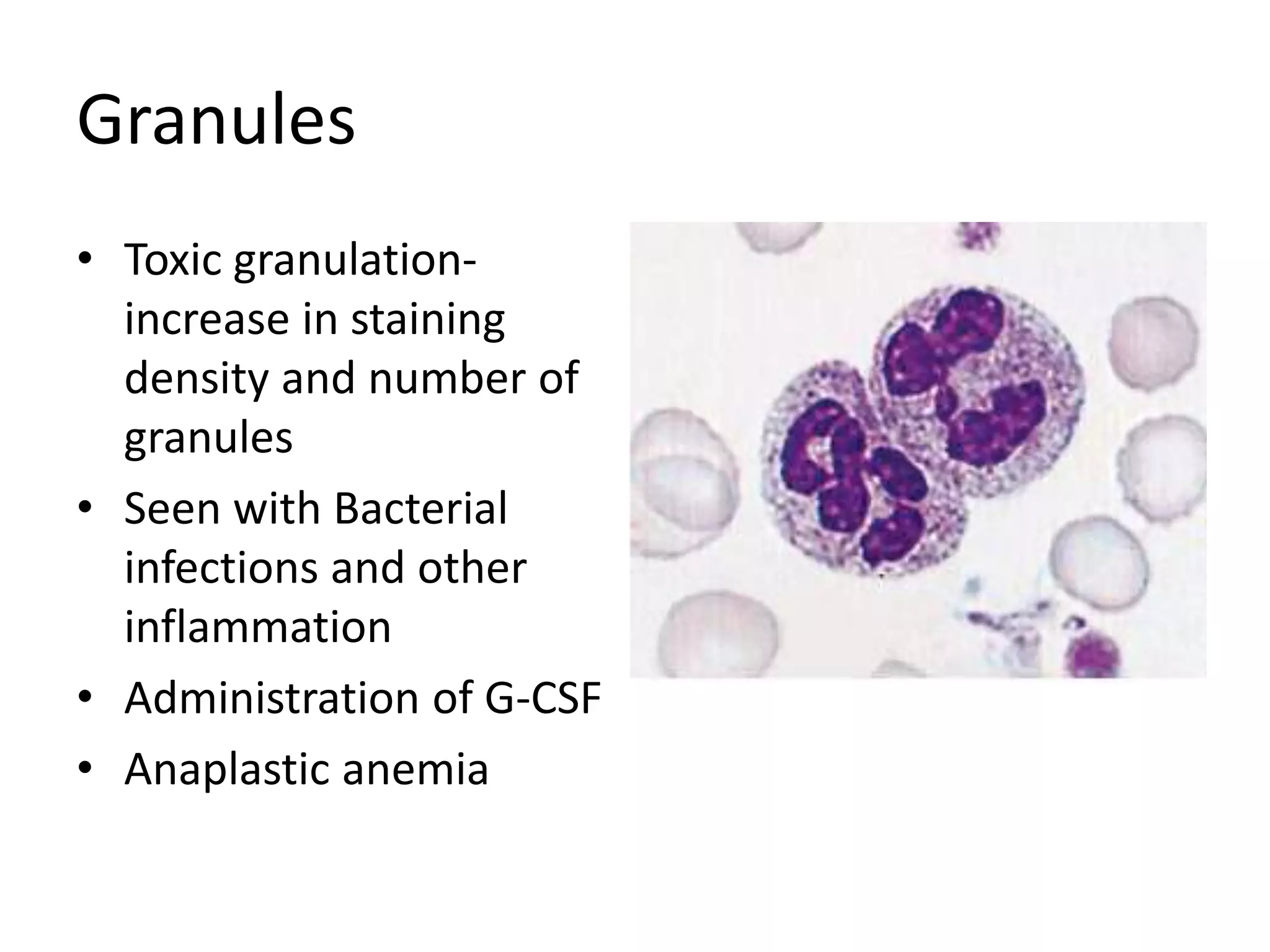 Peripheral blood smear examination | PPTX