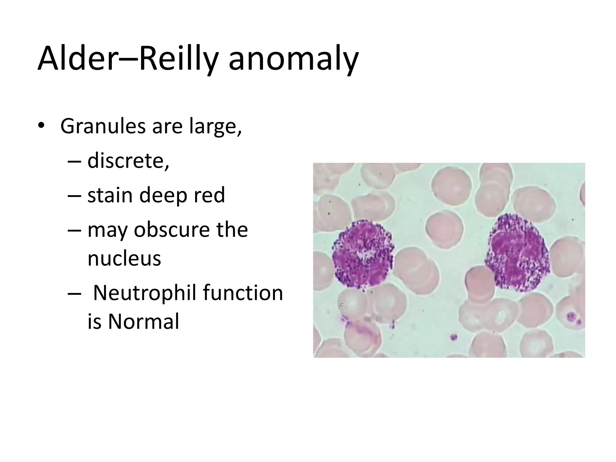 Peripheral blood smear examination | PPTX