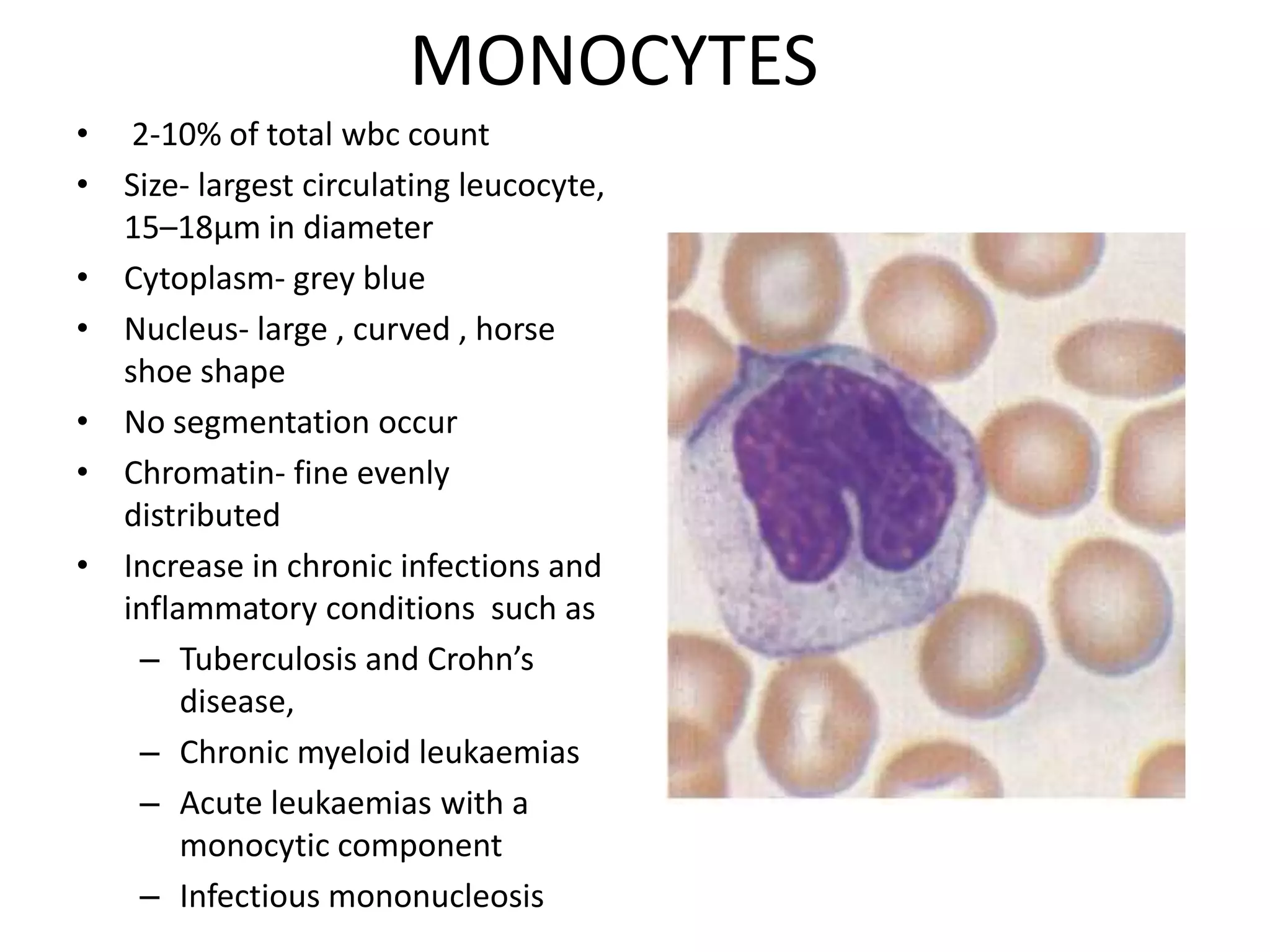 Peripheral blood smear examination | PPTX