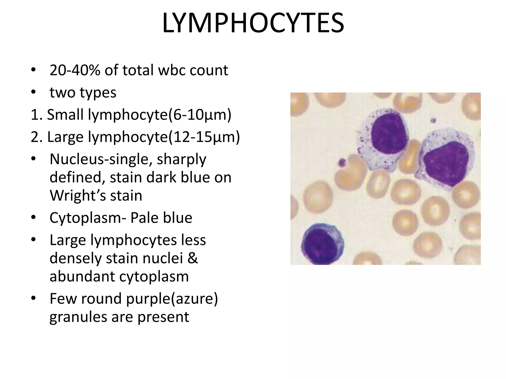 Peripheral blood smear examination | PPTX