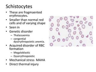Peripheral blood smear examination | PPTX