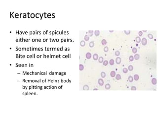 Helmet Cells Vs Bite Cells