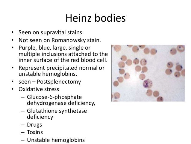 Peripheral blood smear examination
