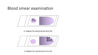 Peripheral Blood Smear & Staining - Hematology | PPTX