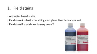 Peripheral Blood Smear & Staining - Hematology | PPTX