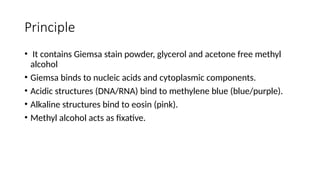 Peripheral Blood Smear & Staining - Hematology | PPTX