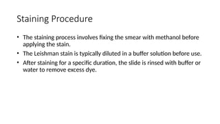 Peripheral Blood Smear & Staining - Hematology | PPTX