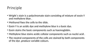 Peripheral Blood Smear & Staining - Hematology | PPTX