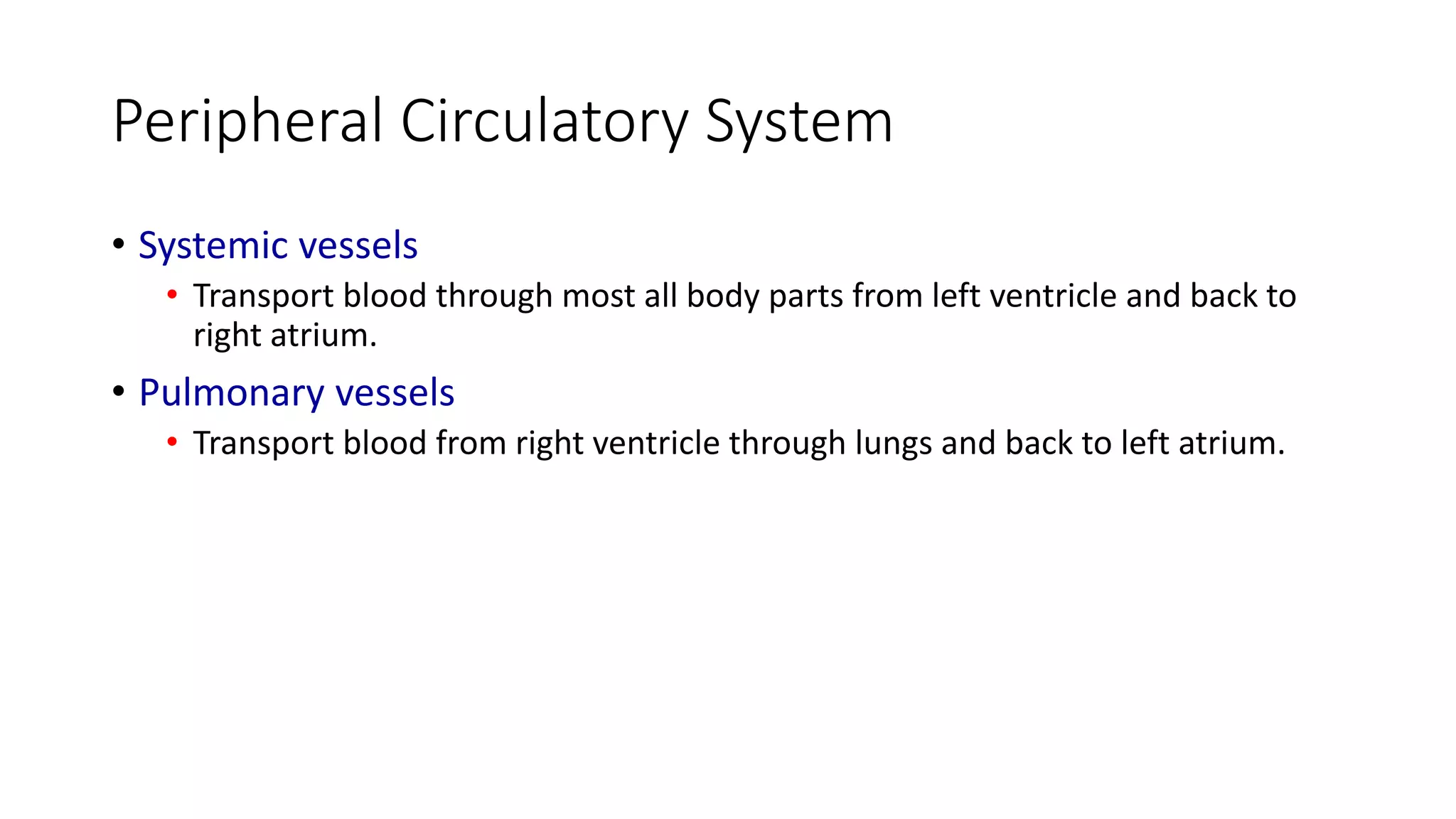 Peripheral circulation arterial system | PPTX