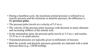 Peripheral circulation arterial system | PPTX