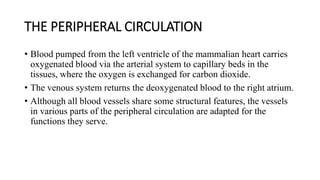 Peripheral circulation arterial system | PPTX