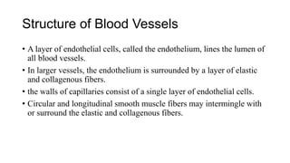 Peripheral circulation arterial system | PPTX