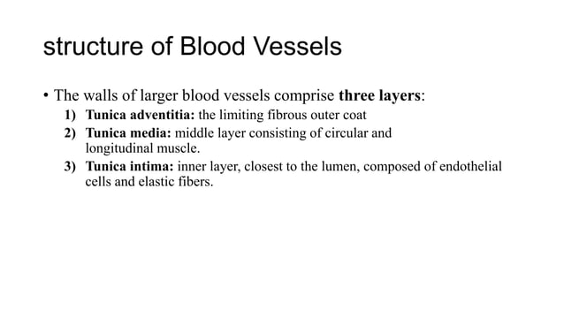 Peripheral circulation arterial system | PPTX