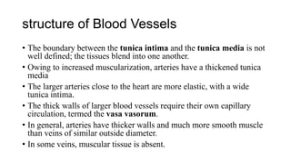 Peripheral circulation arterial system | PPTX