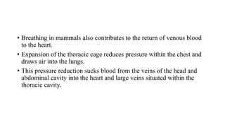 Peripheral circulation venous system | PPTX