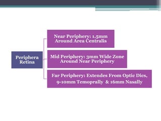 Peripheral fundus & its disorders | PPTX